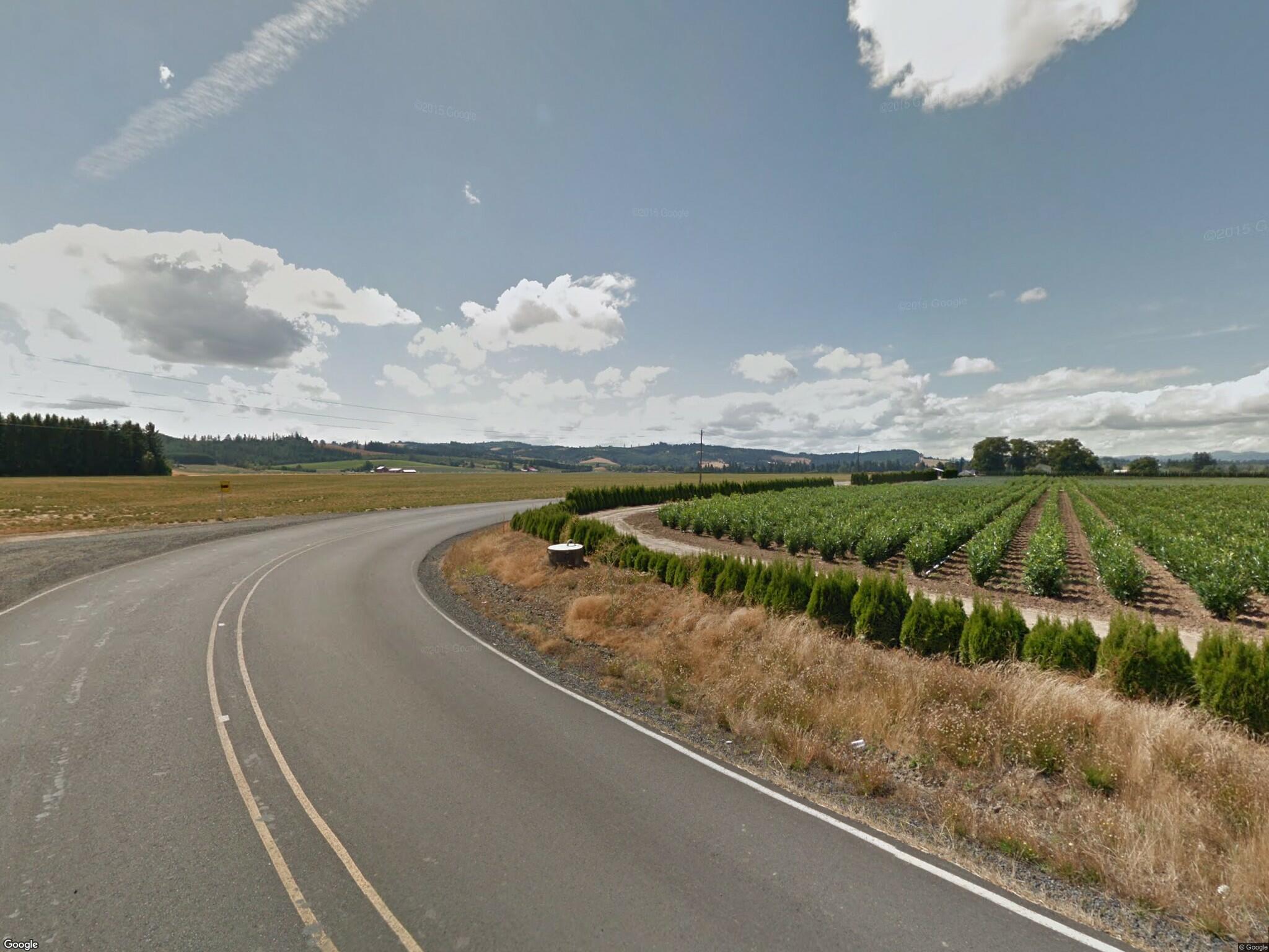 Tongue Lane Clean-Up – Tuality Masonic Lodge